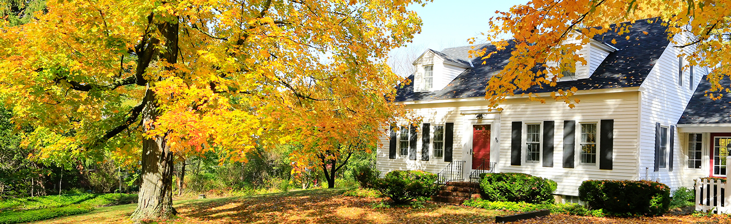 What Pests and Insects are Active During the Fall